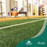 Césped Deportivo - CICADEX Greendex